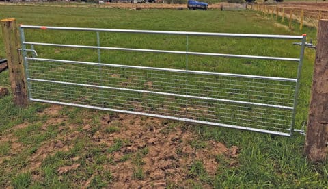 Half Meshed Gates - Ritchie