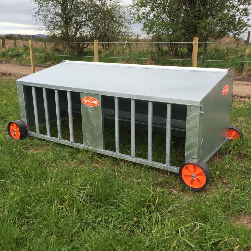 Lamb Feeding | Ritchie