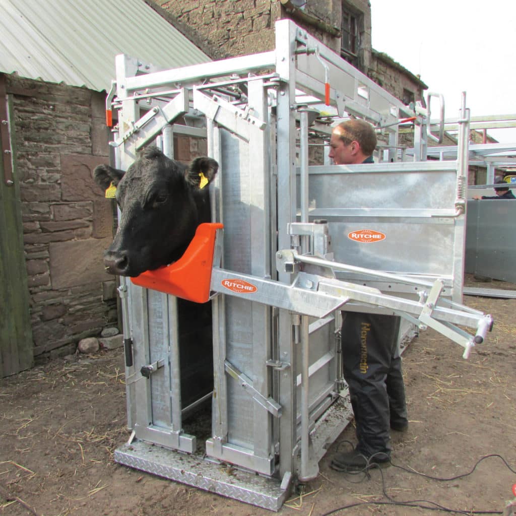 Head Scoop | Cattle Handling | Ritchie Agricultural