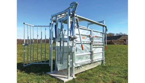 Strathmore Cattle Crate with Manual Yoke - Ritchie