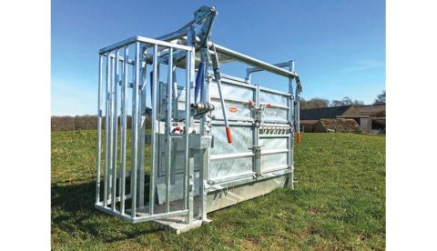 Strathmore Cattle Crate with Manual Yoke - Ritchie