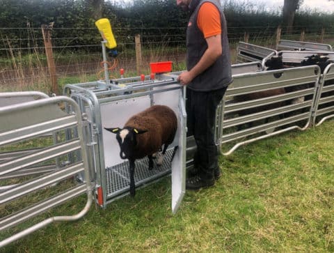 Draft Pro - With Swing Gate - Ritchie