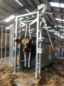 Mobile Cattle Crate with Manual Yoke - Ritchie