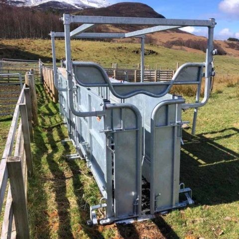Highland Cattle Handling Crate - Ritchie