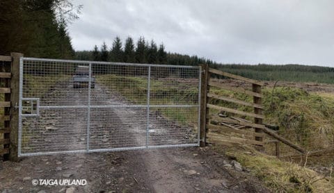 Fully Meshed Deer Gates - Ritchie