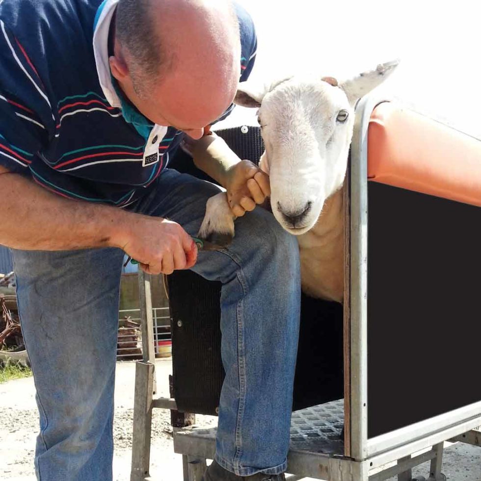 Combi Clamp - Ritchie