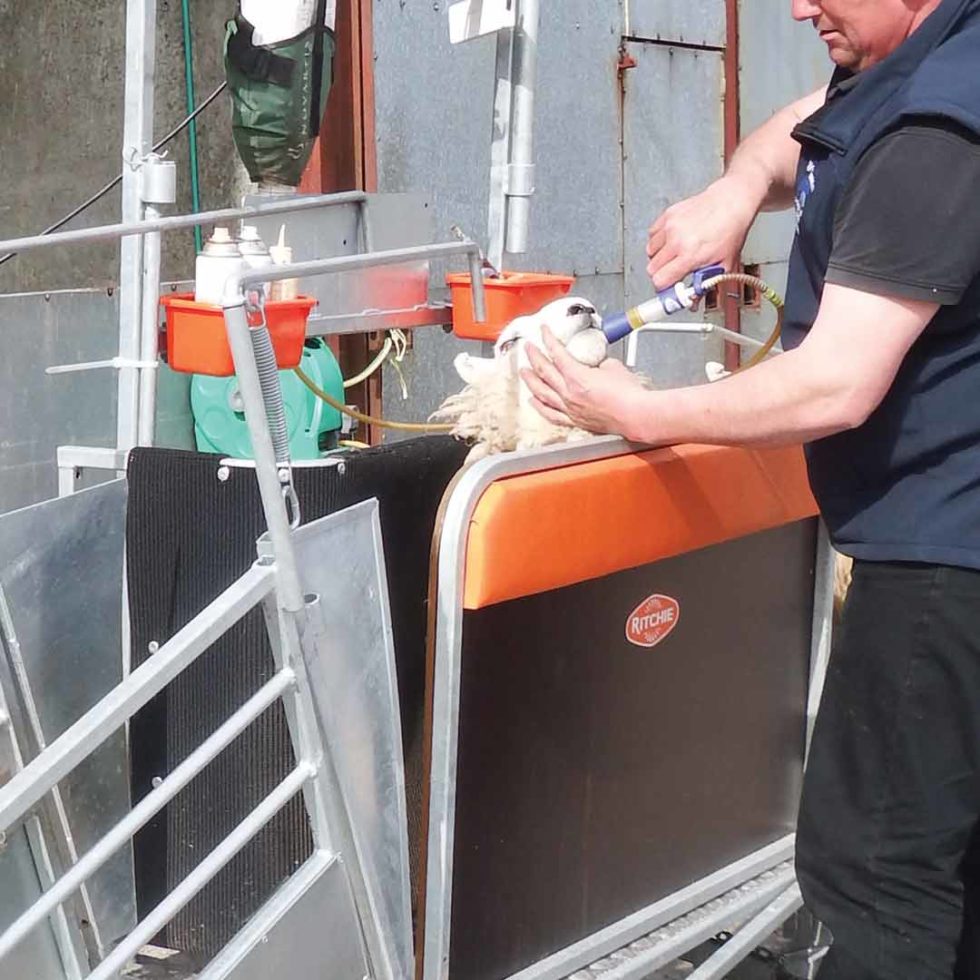 Combi Clamp - Ritchie