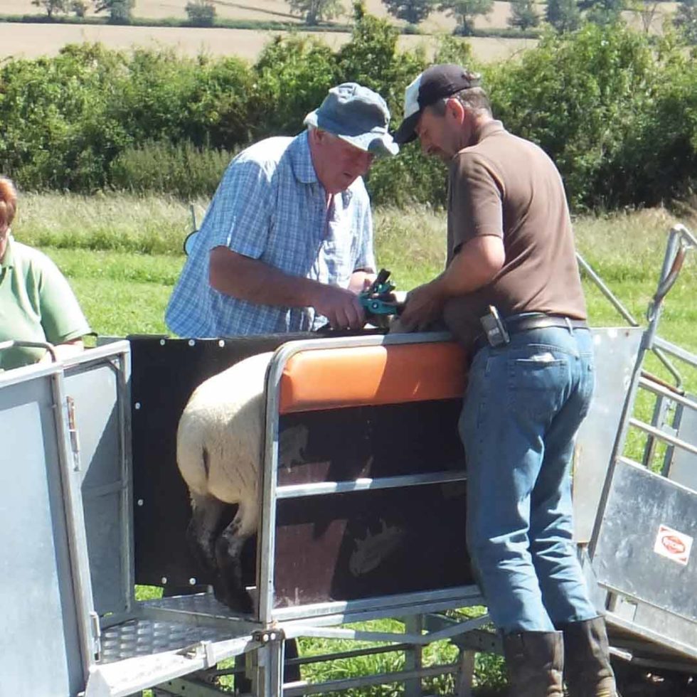 Combi Clamp - Ritchie