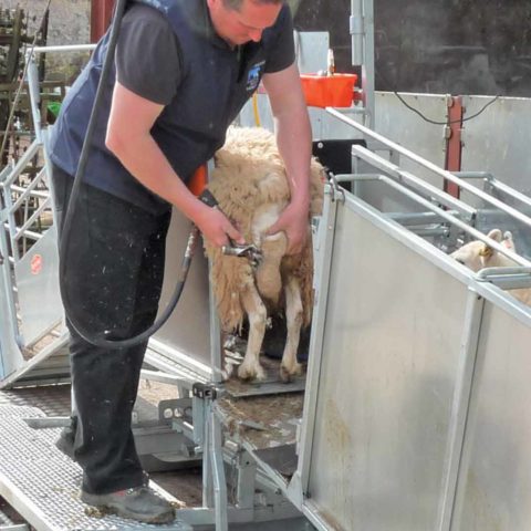 Combi Clamp - Ritchie