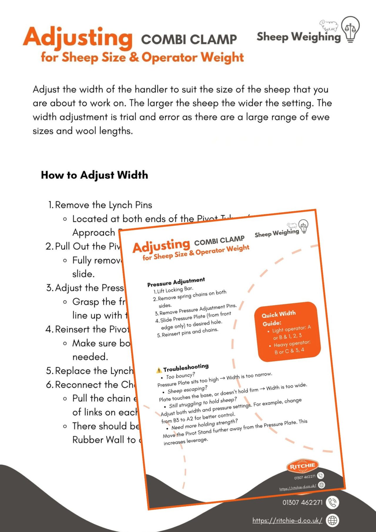Sheep and Lamb Weighing Archives - Ritchie